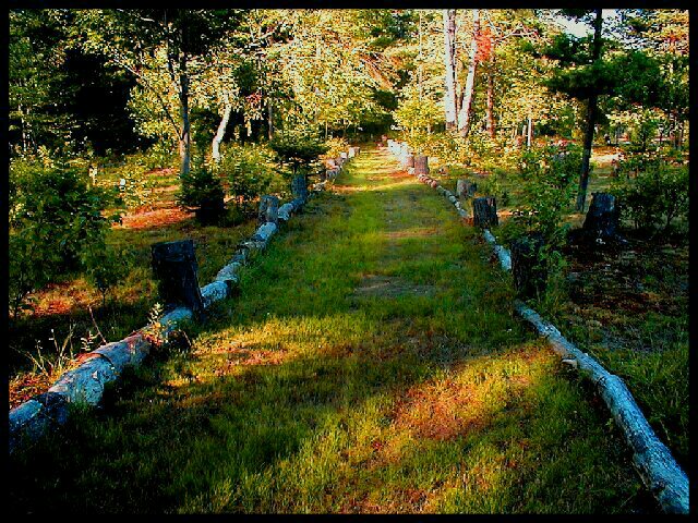 History of the Lodge | Loyd Williamson